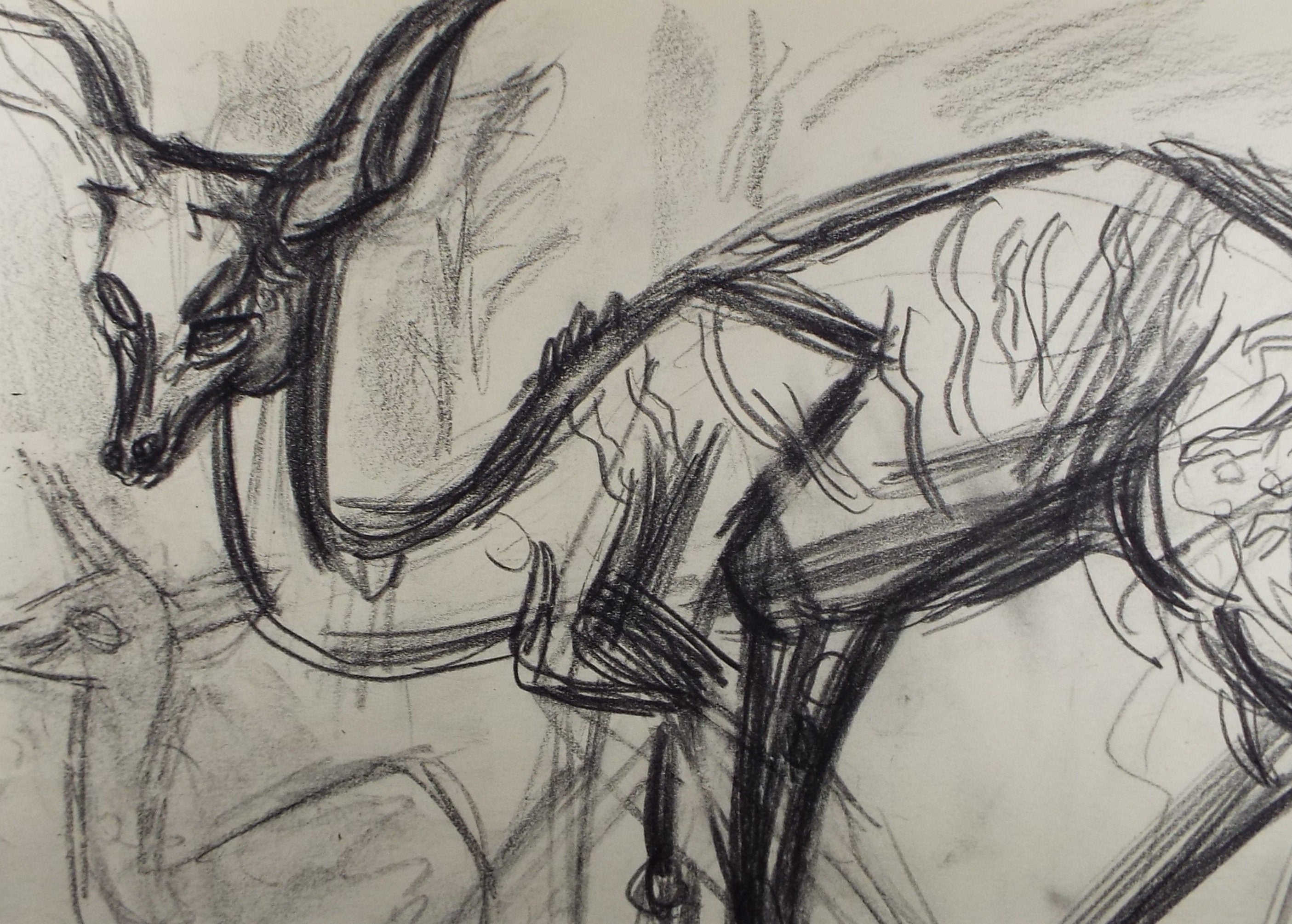 Original Conte Drawing, 'Lesser Kudu', Dated 1950, Henry Saunders (191